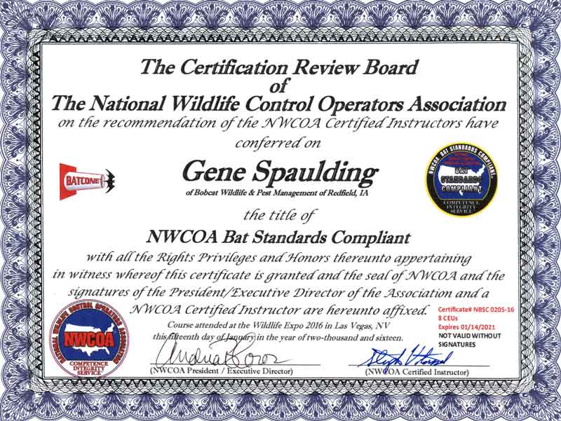 About Us - Bobcat Wildlife & Pest Management | Des Moines, IA